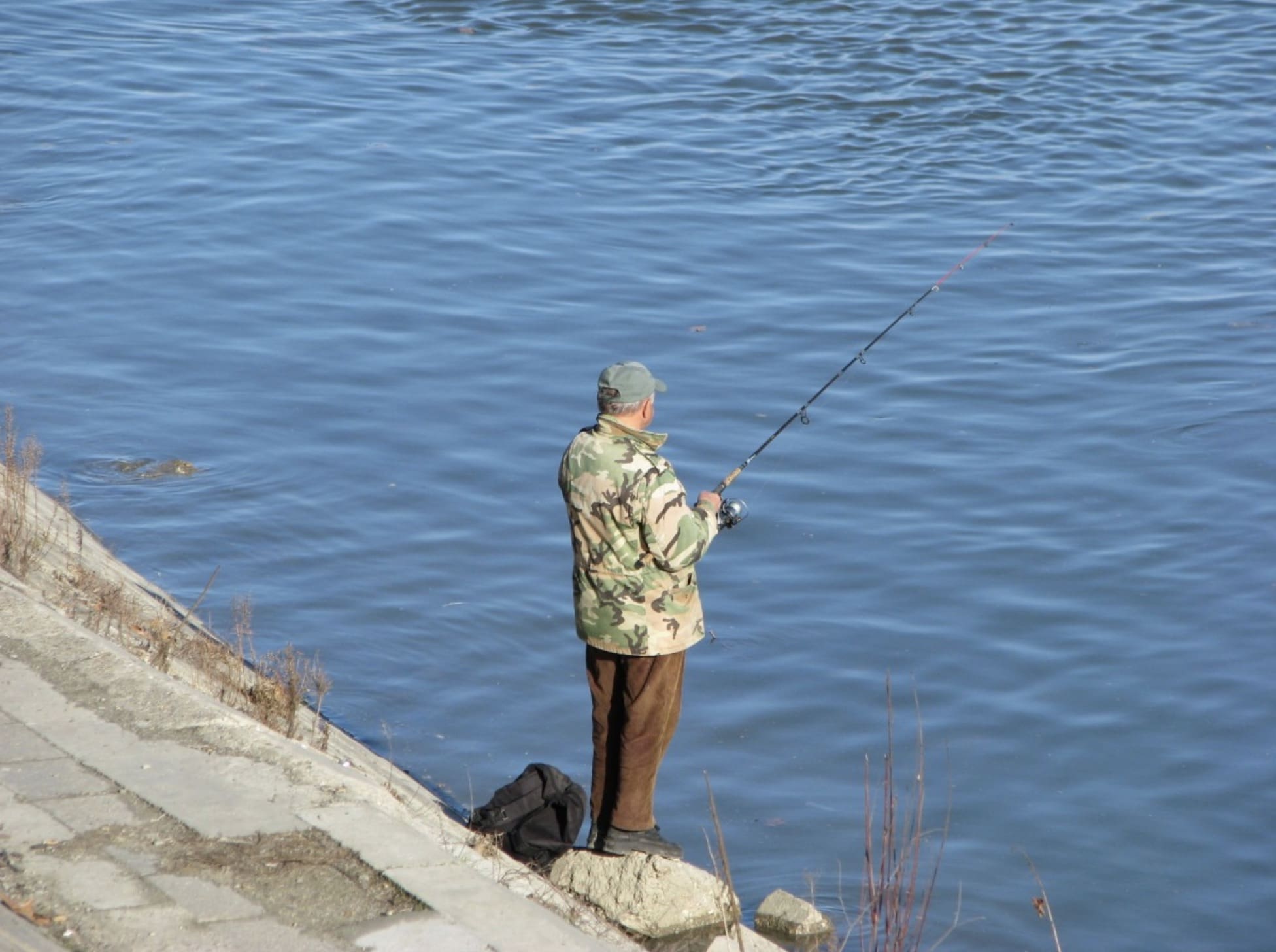 Nesvakidašnji ulov: Ribolovac u Savi upecao piranu tešku 500 grama | 6yka