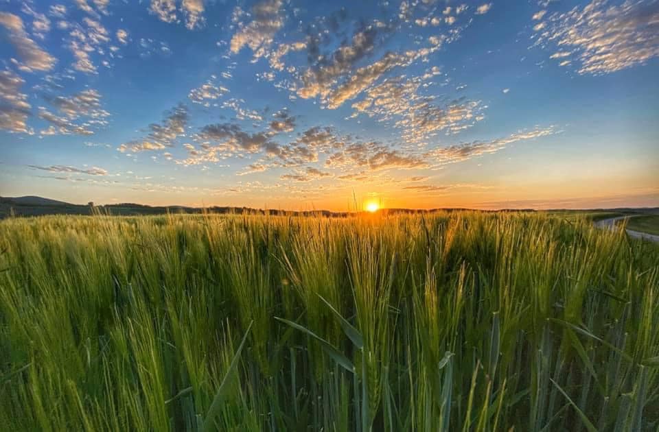 Je li vrijeme za novu podjelu godišnjih doba? Pogledajte šta predlažu ...