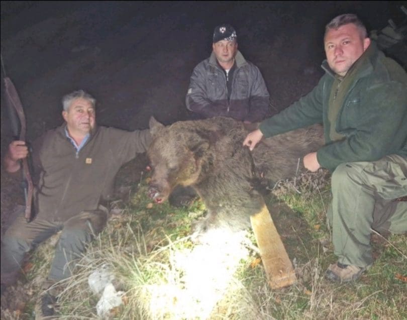 ZASTRAŠUJUĆE U krivolovu ubijena četiri medvjeda u okolini Vlasenice | 6yka