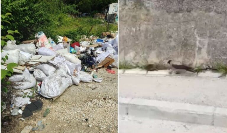 Kanton Sarajevo u velikim problemima: Nakon leptospiroze pojavila se i ...